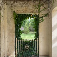 The Gardener – Lisa Marie Poetry